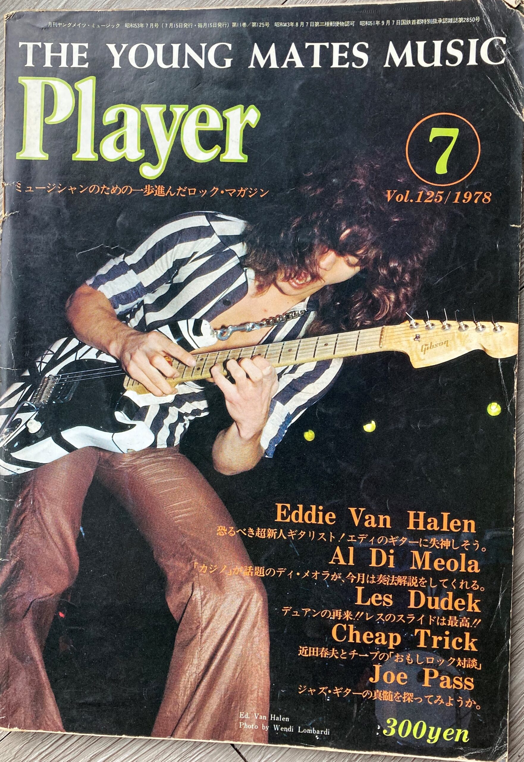 Tonechaser – Understanding Edward: My 26-Year Journey with Edward Van ...